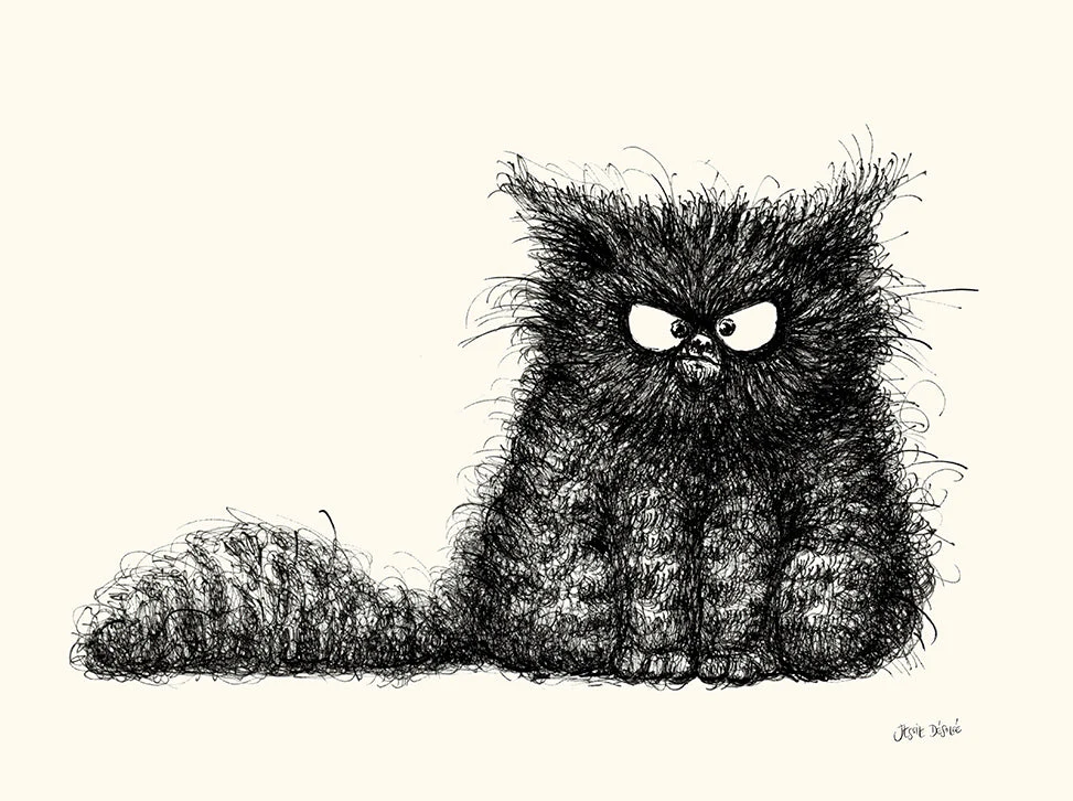 Affiche Salam "Grumpy cat" - L'Imagier